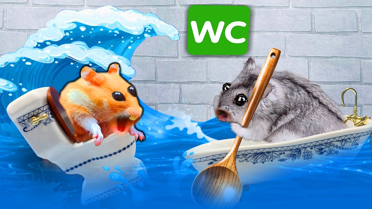 Hamster's mother Rescue Baby in Pool Toilet Drown by Mr Hamster Stories ...