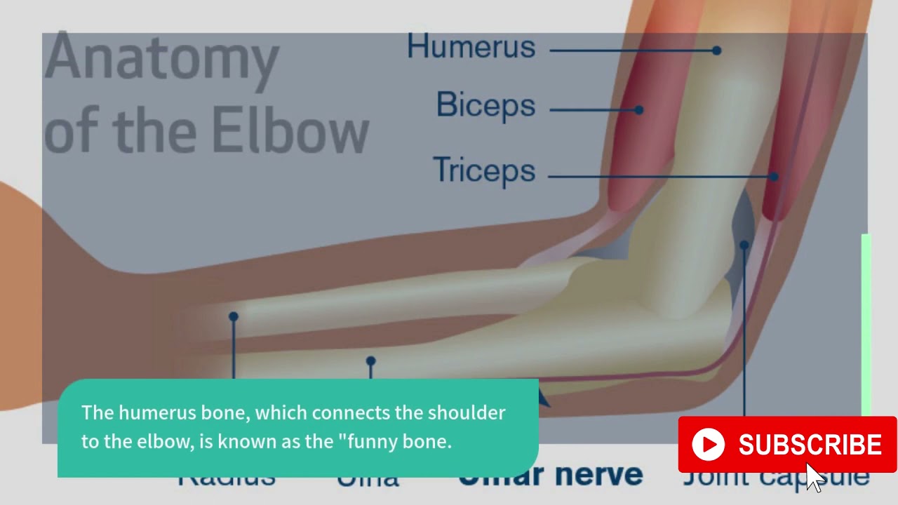 It's a nerve, not a funny bone!! - YouTube