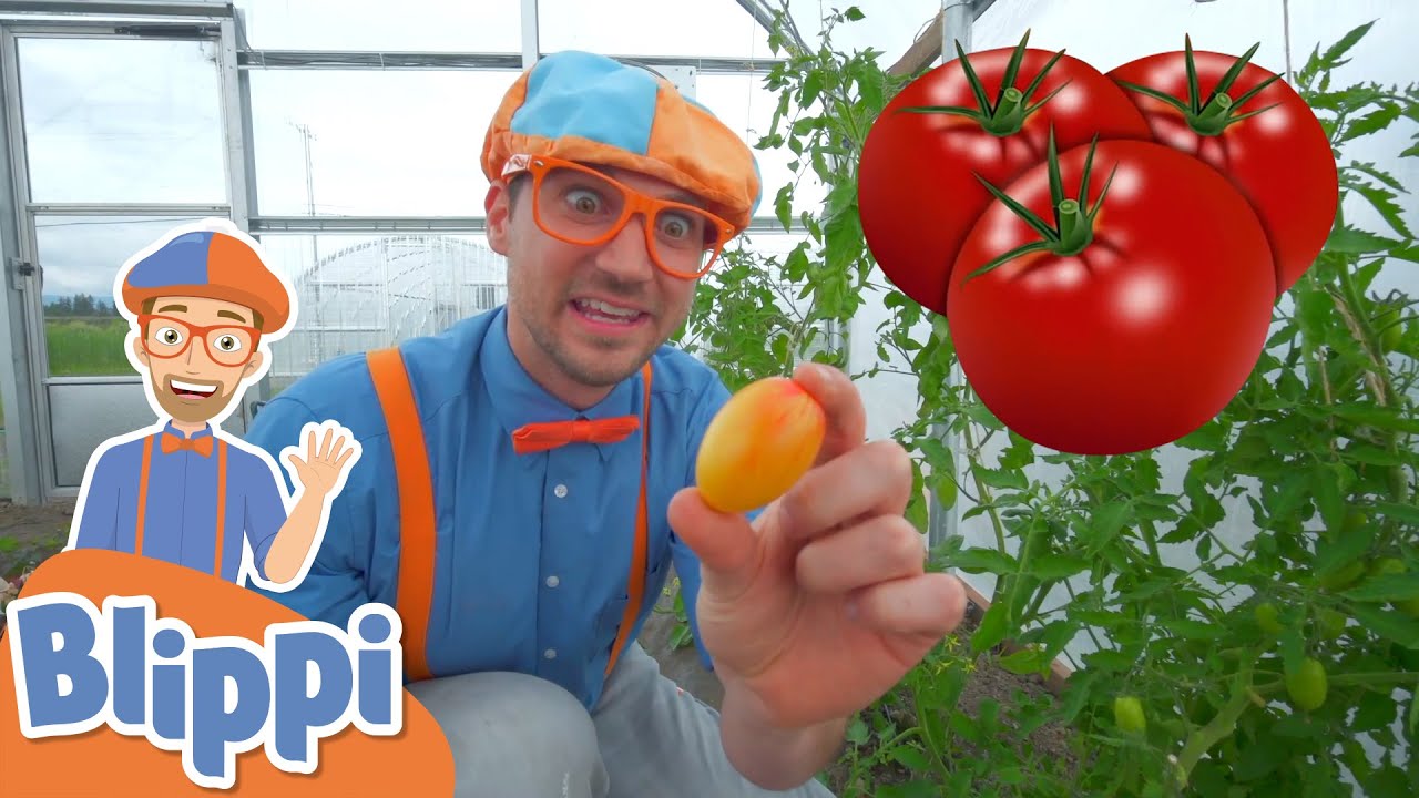 Blippi Visits a Farm! | Learn About Healthy Eating For Kids ...
