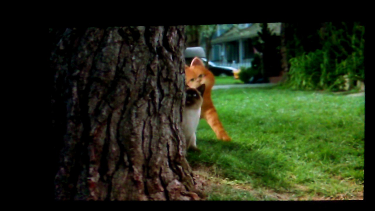 Garfield The Movie Nermal