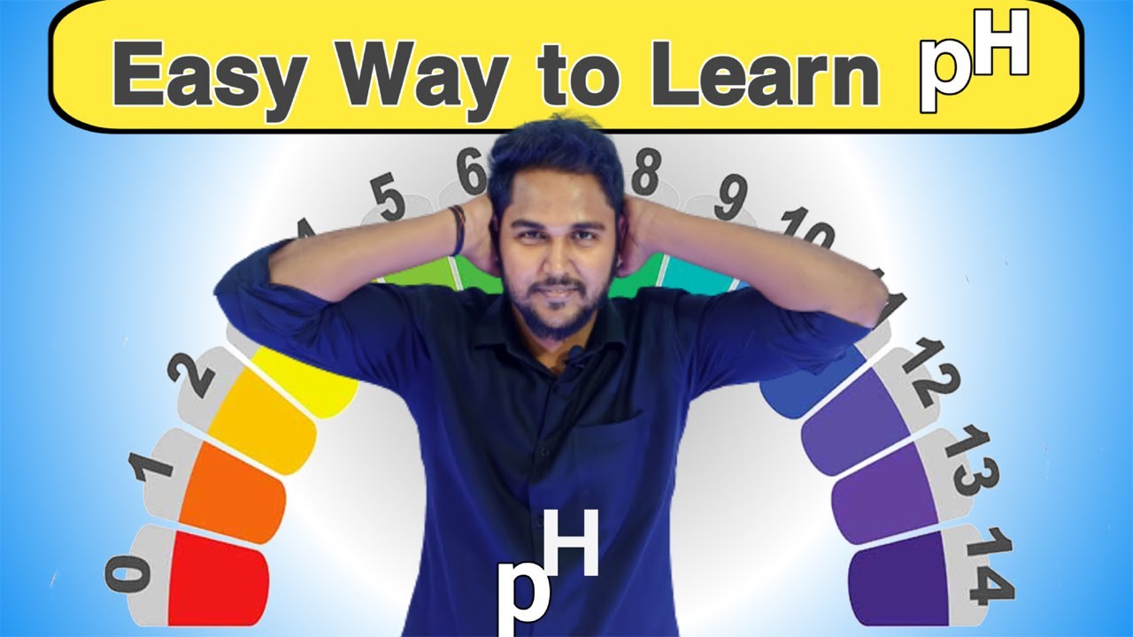 Acids, Bases and Salts 08 | pH Scale | NCERT | pH Role in Daily Life ...