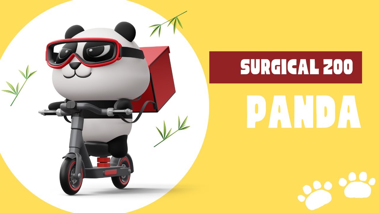 Panda Diaries in 4K: 🐼 A Day in the Life of Nature's Gentle Giant - YouTube