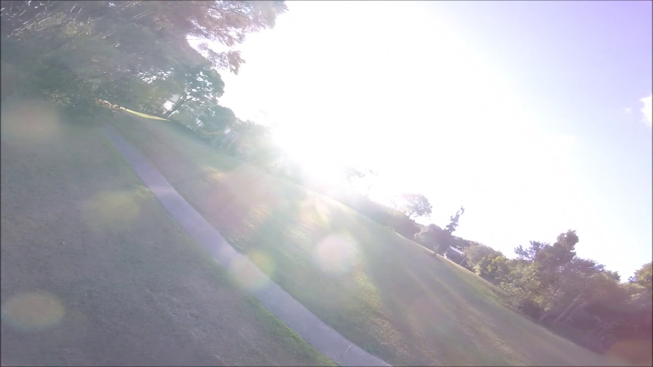 Seranading the Trees - YouTube