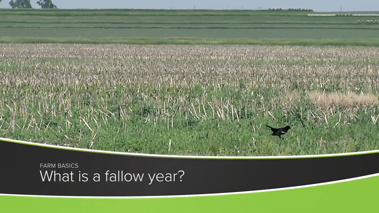 Farm Basics #1218 What Is A Fallow Year? (Air Date 8-8-21) - YouTube