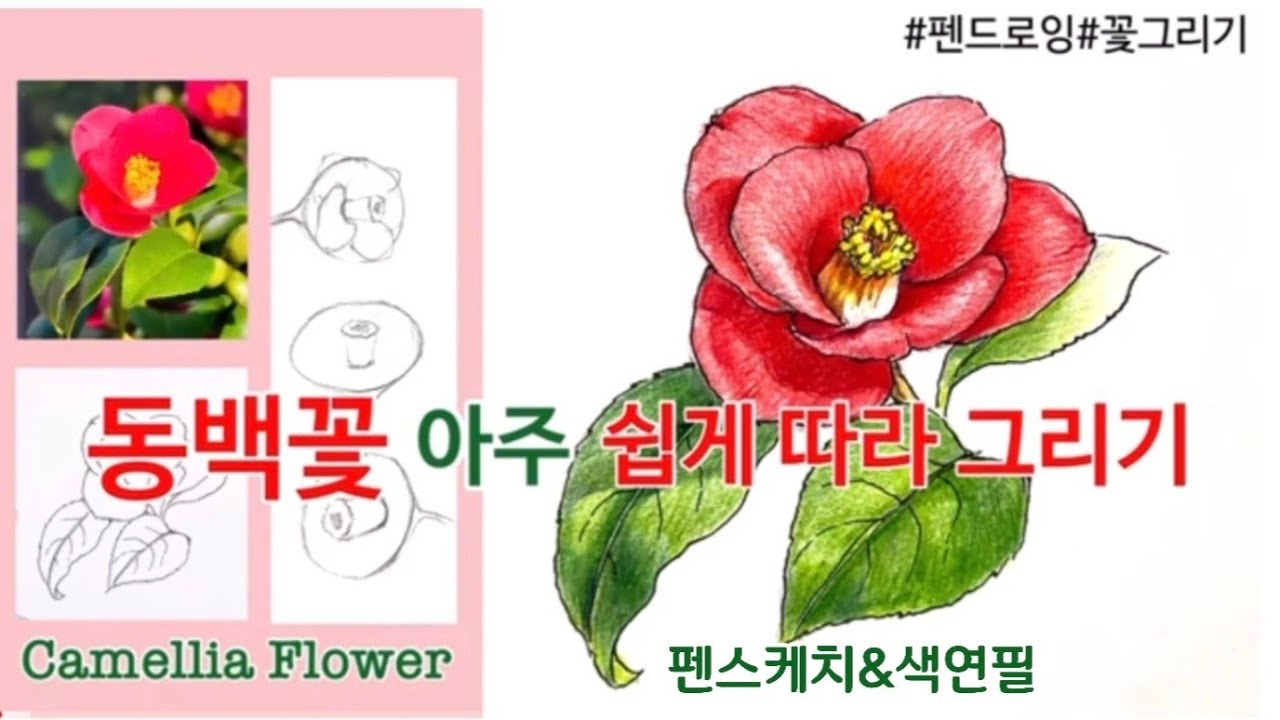 펜드로잉구독자님 요청동백꽃 그리기아하 쉬운방법 있었네~ Youtube