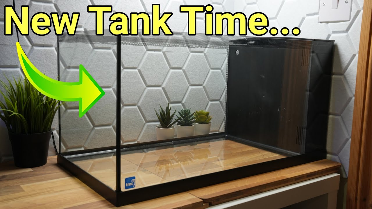 You Know What I Need? Another Fish Tank! The Prestige Reef Dork Show Ep ...
