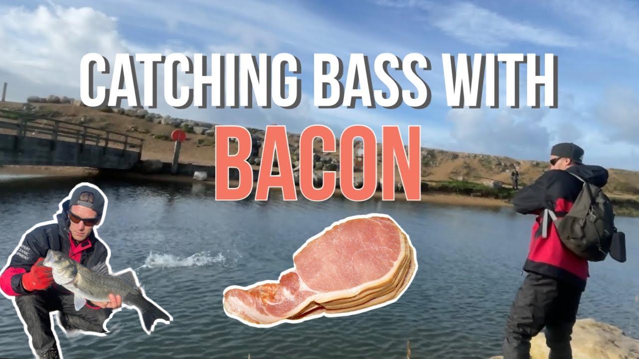 Catching BASS on BACON ~ Milford on Sea - YouTube