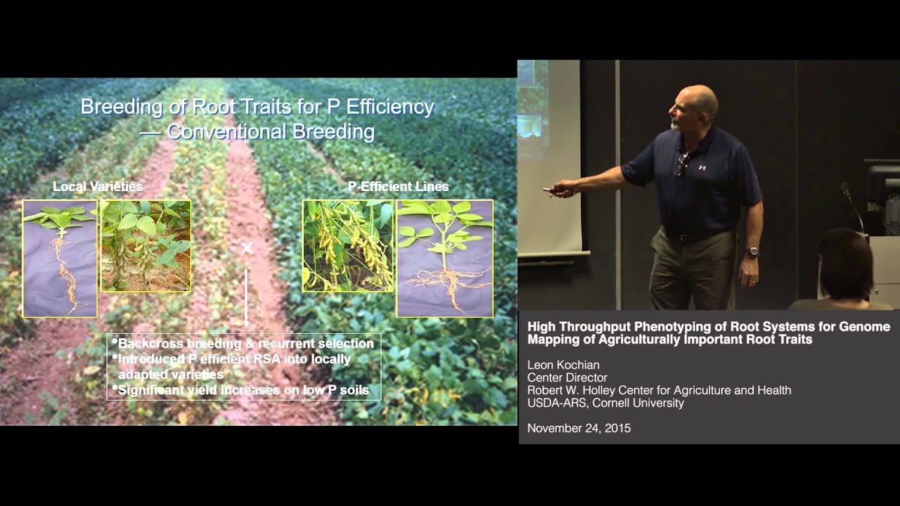 Leon Kochian - High throughput phenotyping of root systems for genome ...