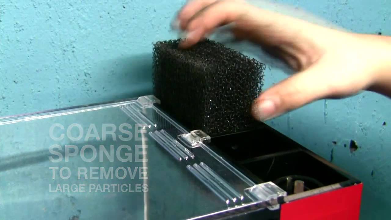 Dymax IQ5 Mini Acrylic Aquarium - YouTube