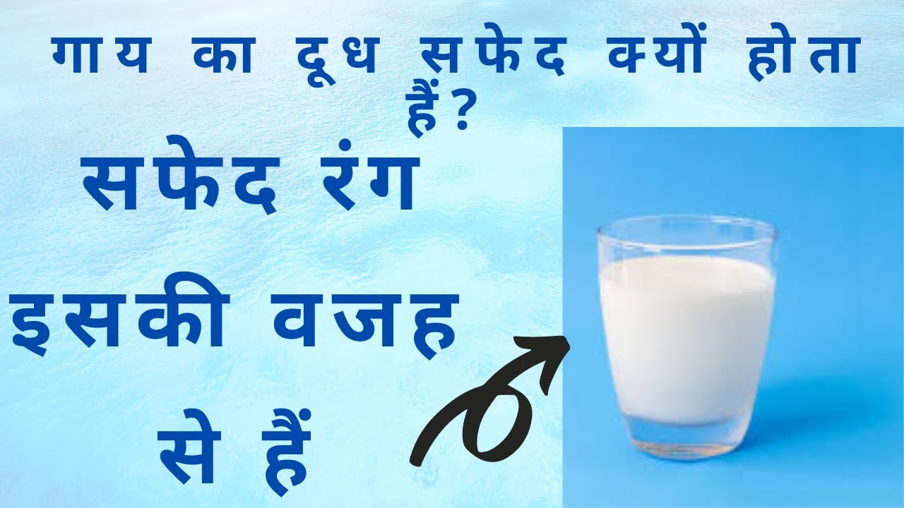 Why Milk is White? | दूध सफ़ेद क्यों होता हैं? | Milk is Colloid ...