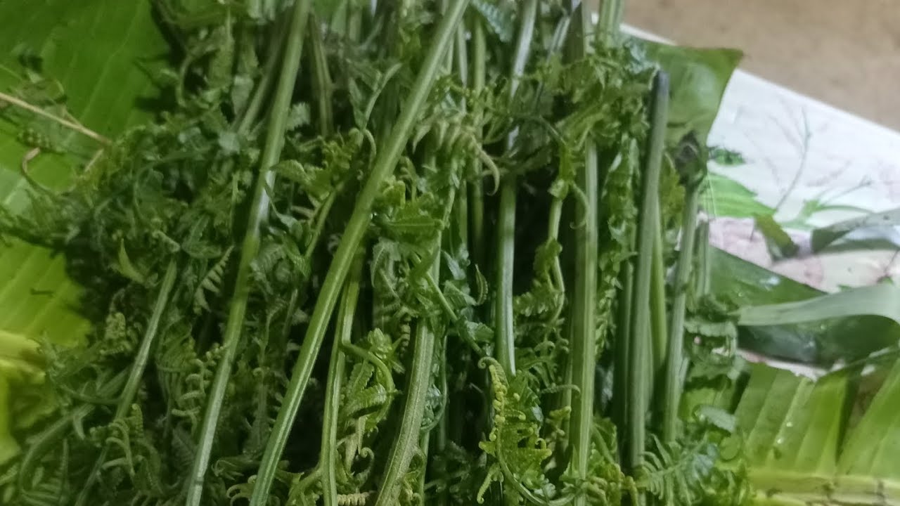 pako pako : damo na makakain pa: - YouTube