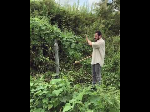 Reşat Hacıahmetoğlu   Baba çalışsın uşaklar gezsun