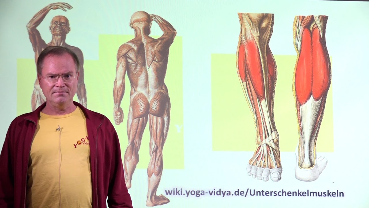 Unterschenkelmuskeln - Muskeln und Muskeltraining mit Yoga - YouTube