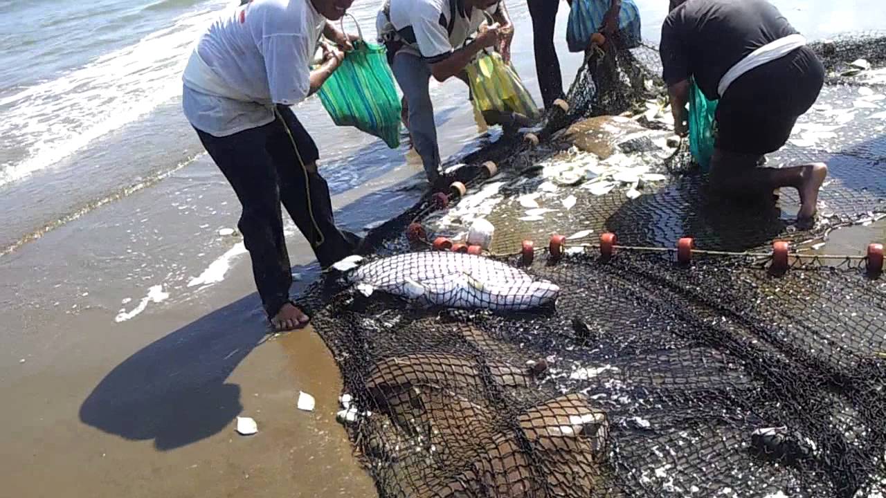 calada con red en la playa - YouTube