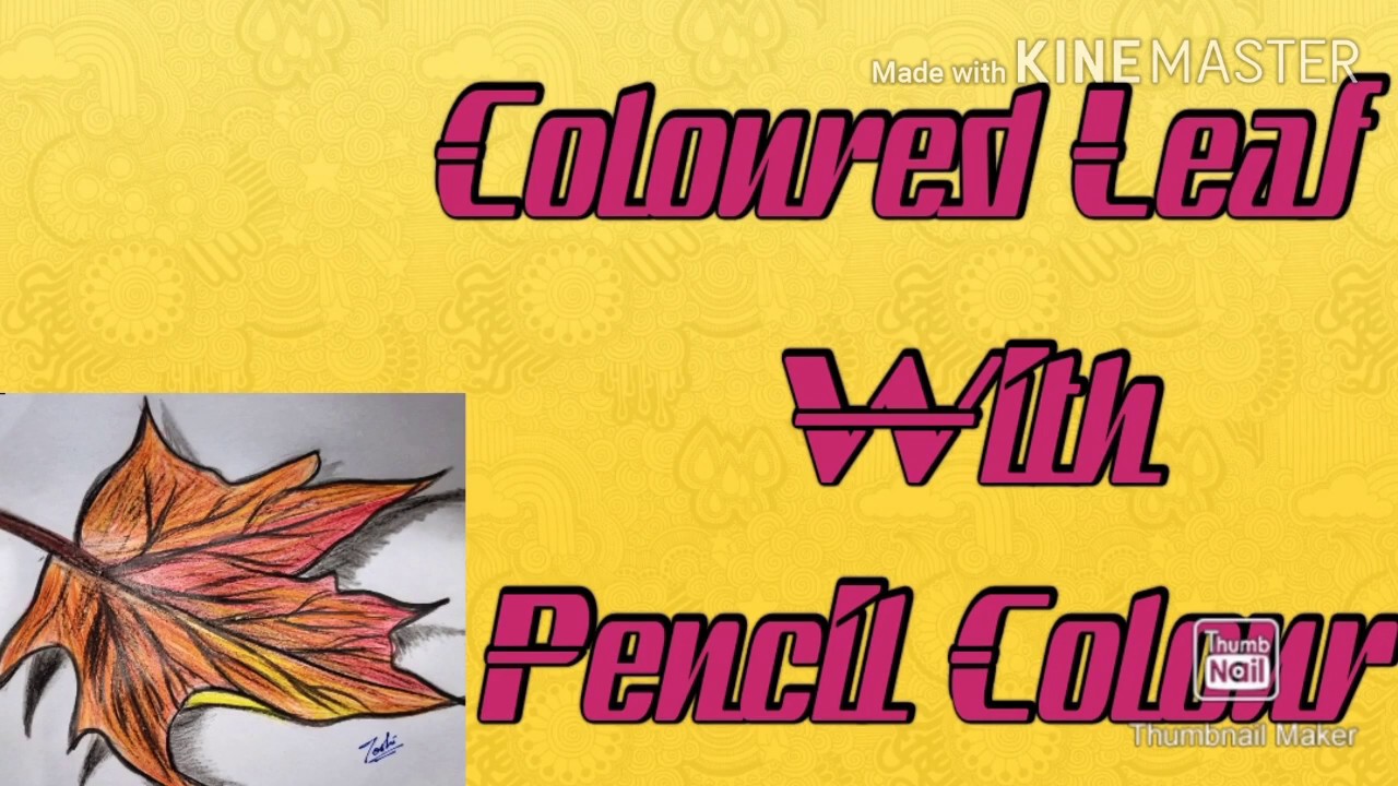 Coloured Leaf with pencil colour .easy to draw with pencil colour - YouTube