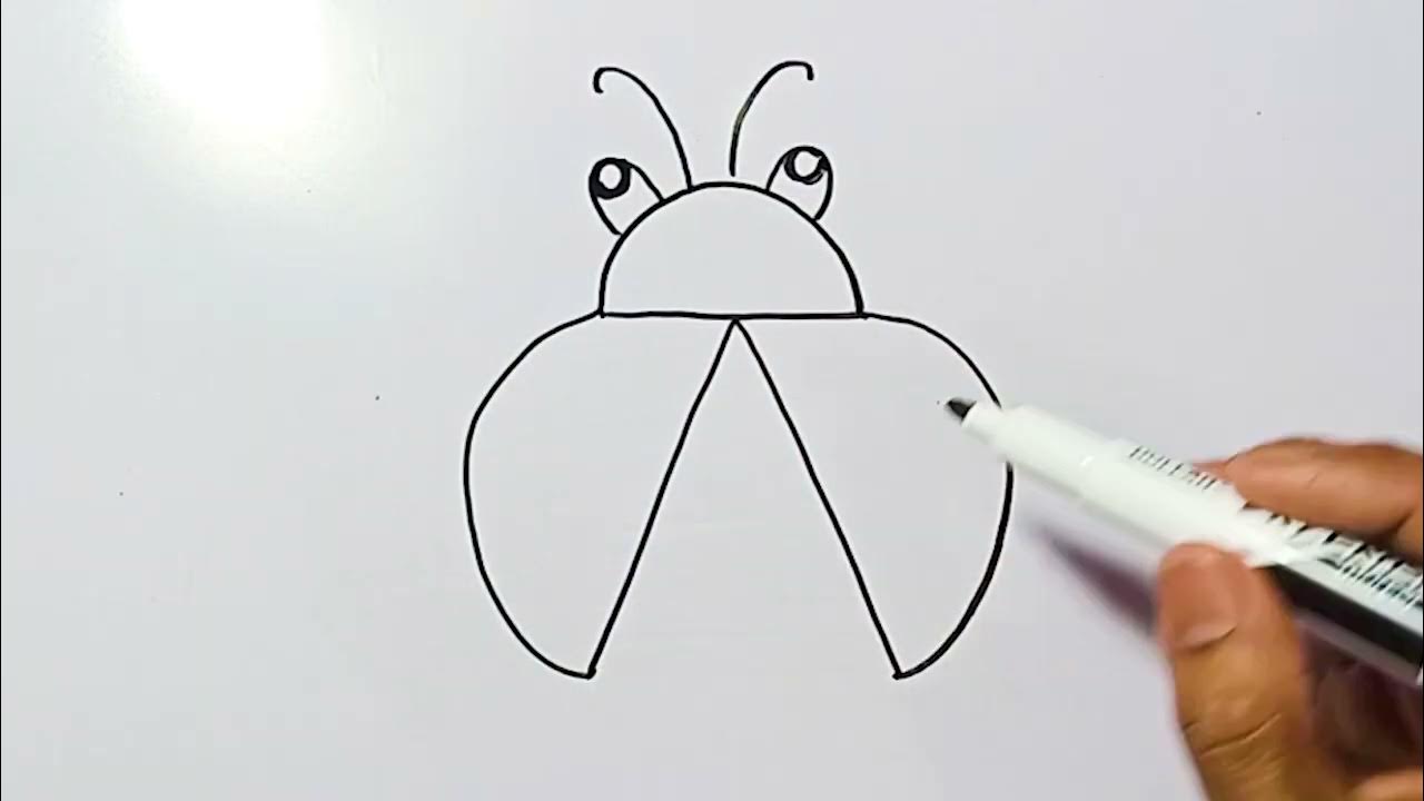 Drawing Bug | easy drawing bug | Step by Step | Drawing with Meeru ...
