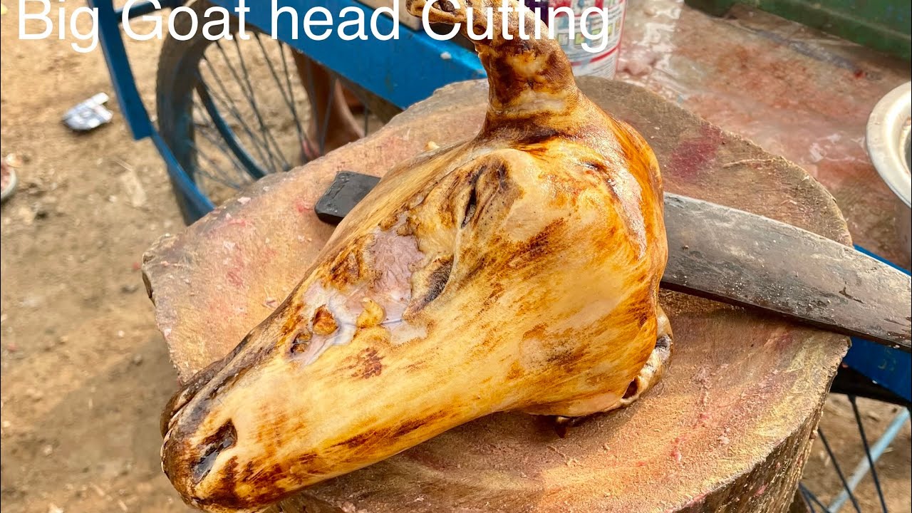 Big lamb head cutting | Excellent goat head cutting skills | Village ...
