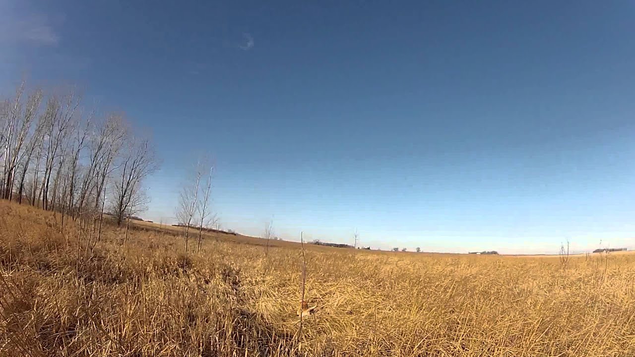 Gypsy hunting at Essig Minnesota - YouTube