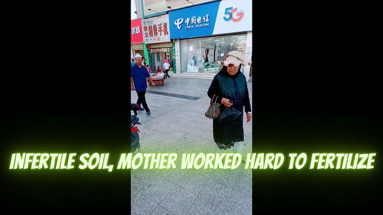 Infertile soil, mother worked hard to fertilize - YouTube
