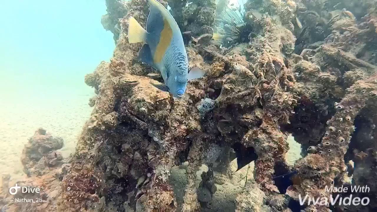 Scuba diving @ NCR Doha Qatar - YouTube