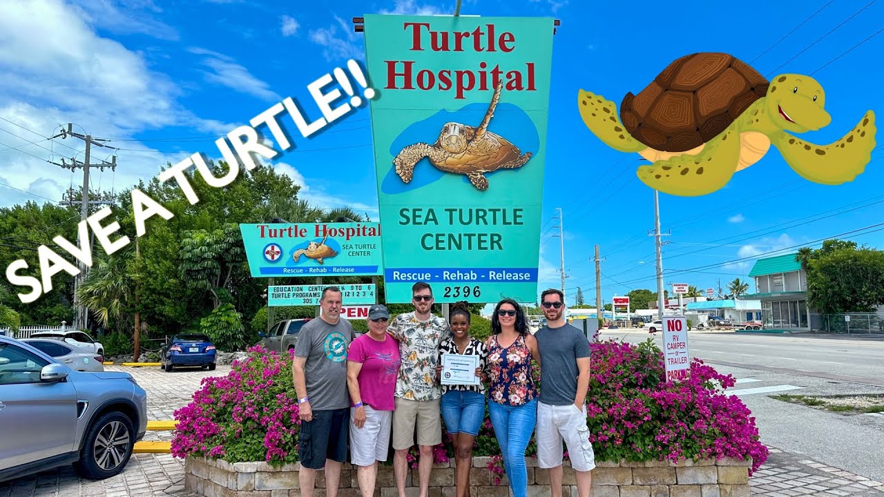 SEA TURTLE HOSPITALS IN AMERICA!! 🫶🐢😍🐢🫶 || Endangered Species 😢😢😢 - YouTube