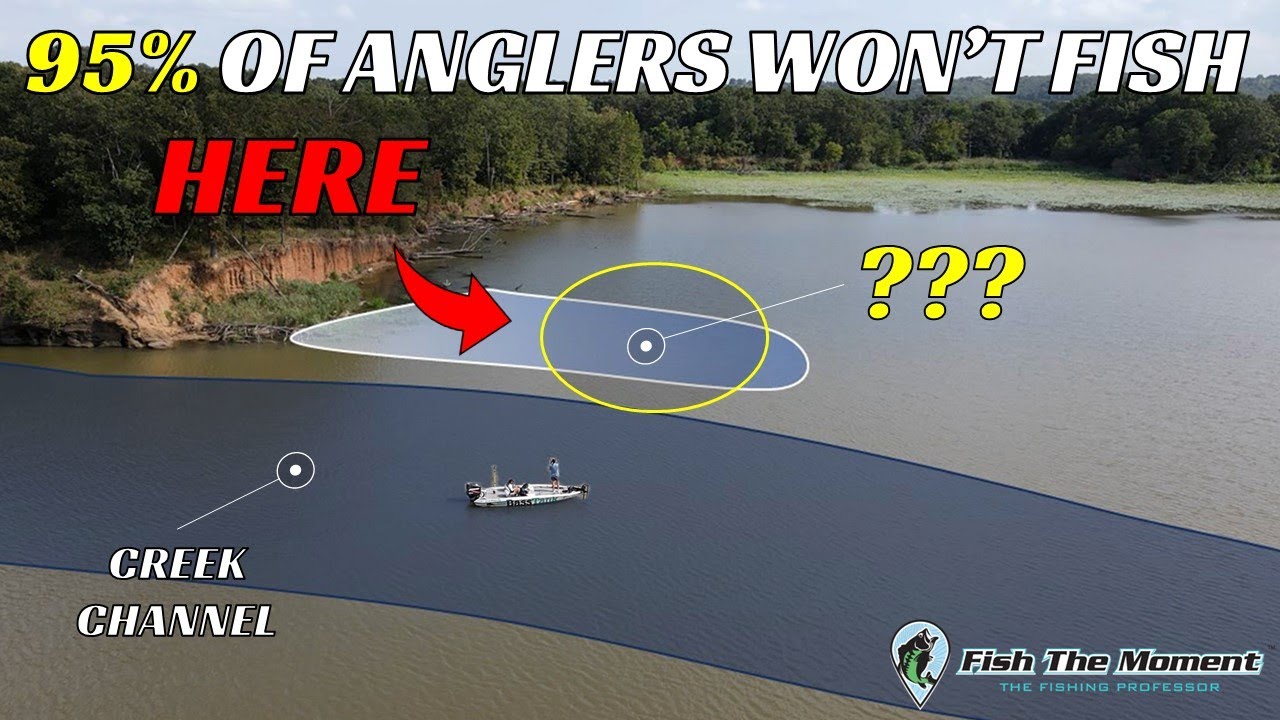 This Pattern Has Dominated Pro Fishing For 20+ Years - Here's How to Do ...