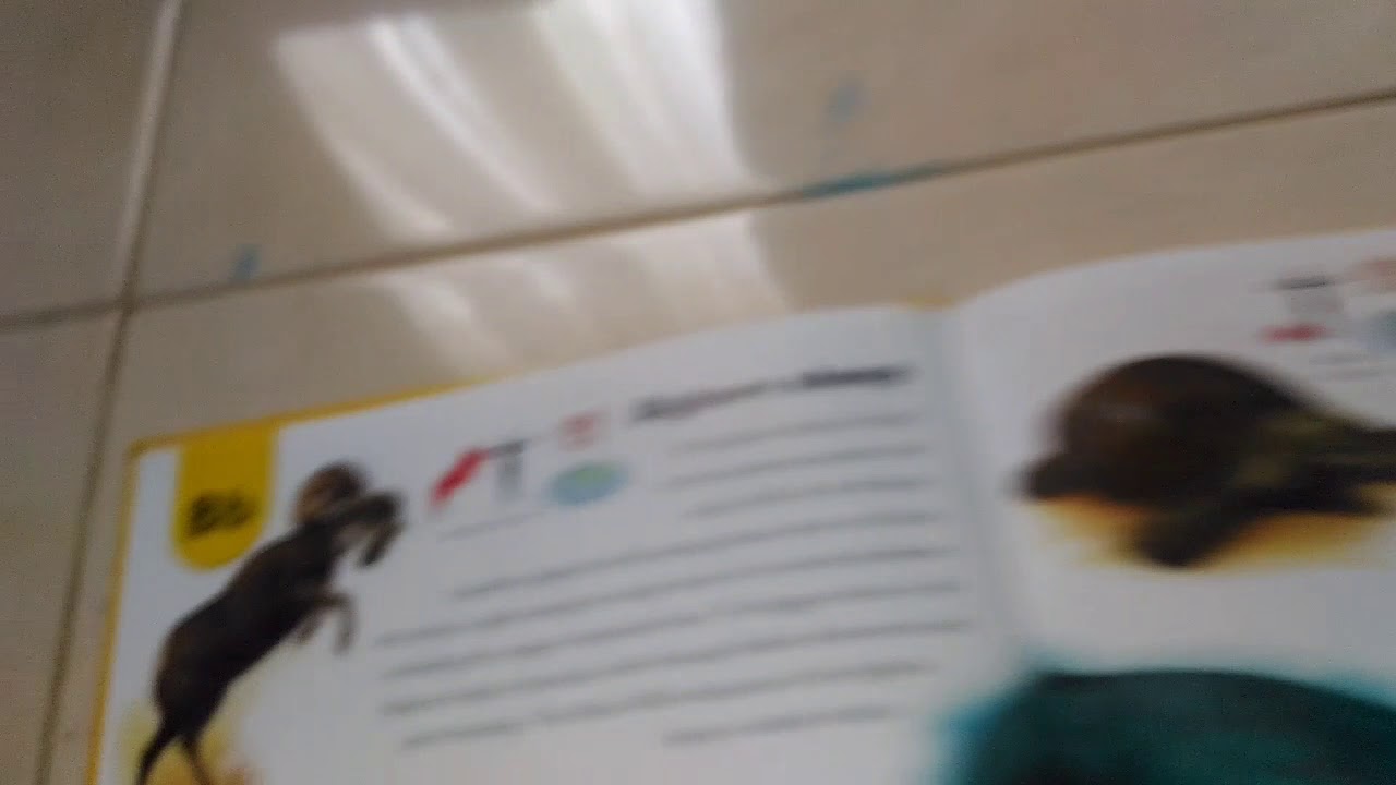 reading the book of the endangered animals dictionary - YouTube