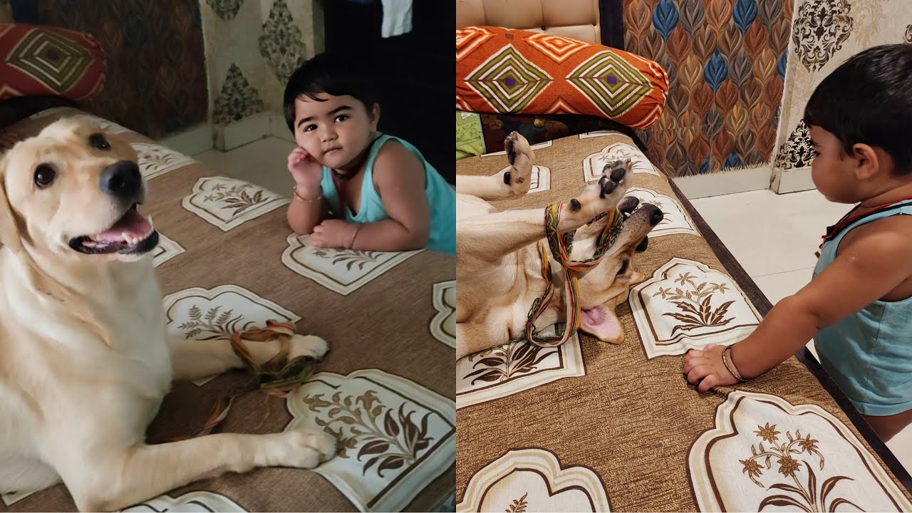 Mimi and Aryan ka cute moments | my dog taking care of baby | cute ...