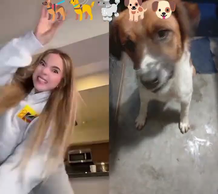 colab 🐶🐕🦮🐕‍🦺 #humor #yosoydelos7mil #comedia # ...