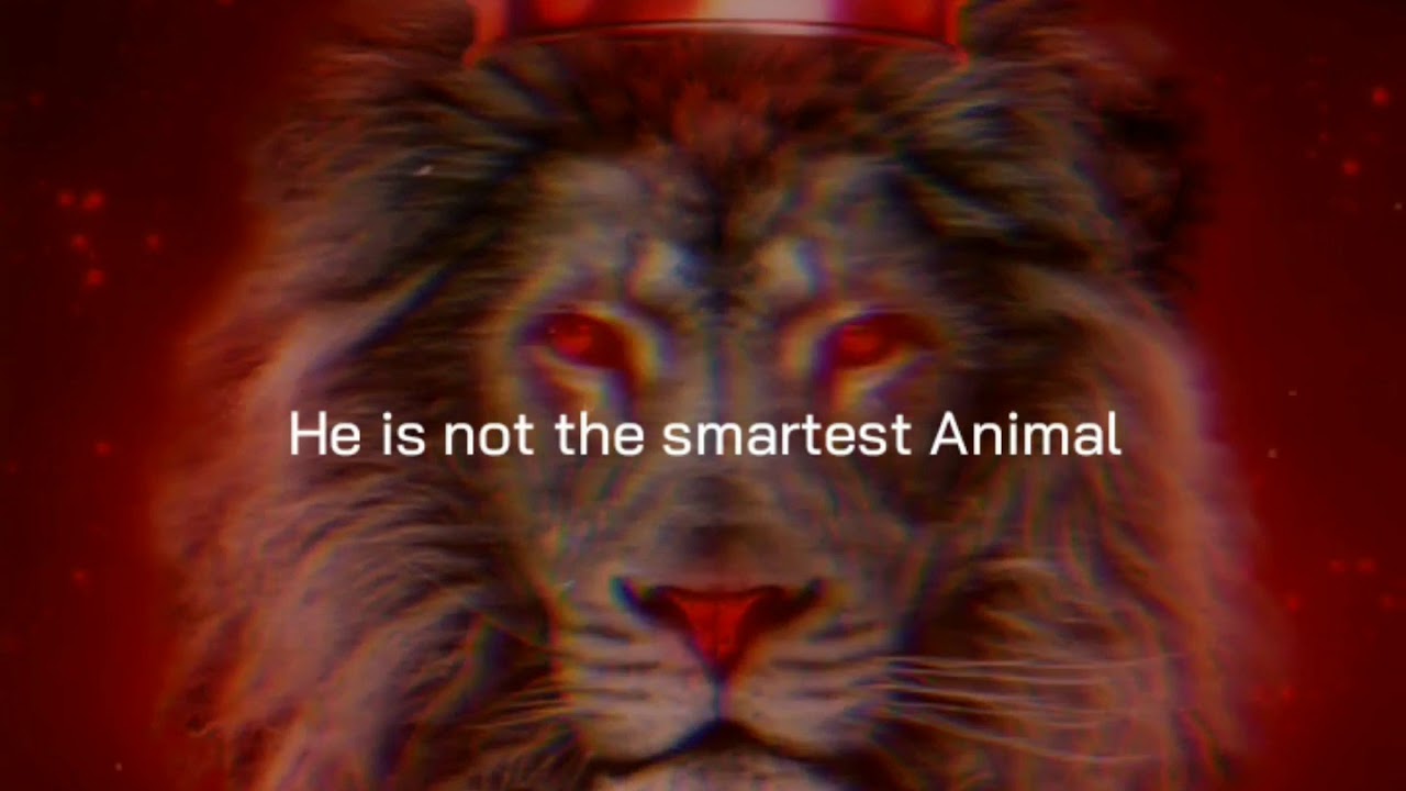 Be A Lion Mass dialogue 🦁 - YouTube