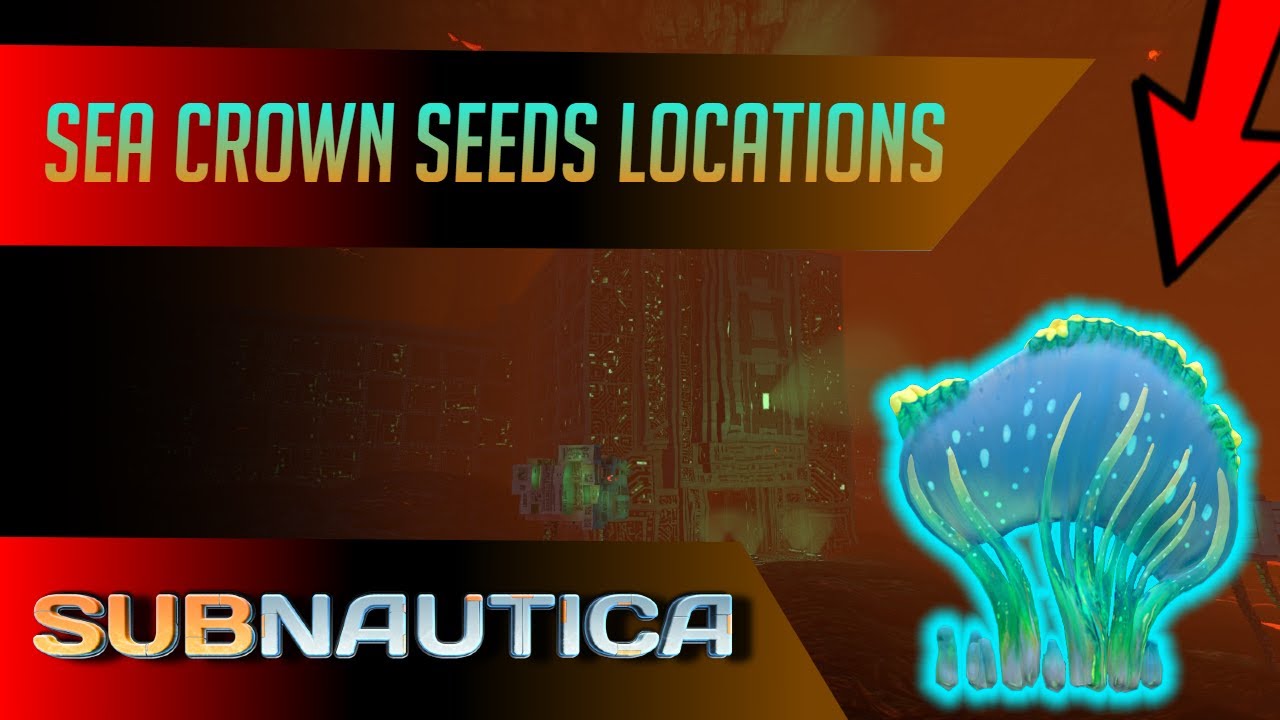 Where to find Sea Crown Seeds. (UPDATED) - YouTube