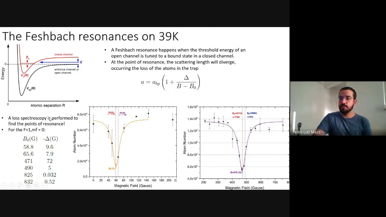 Tuning the Feshbach resonances in a mixture of sodium and potassium ...