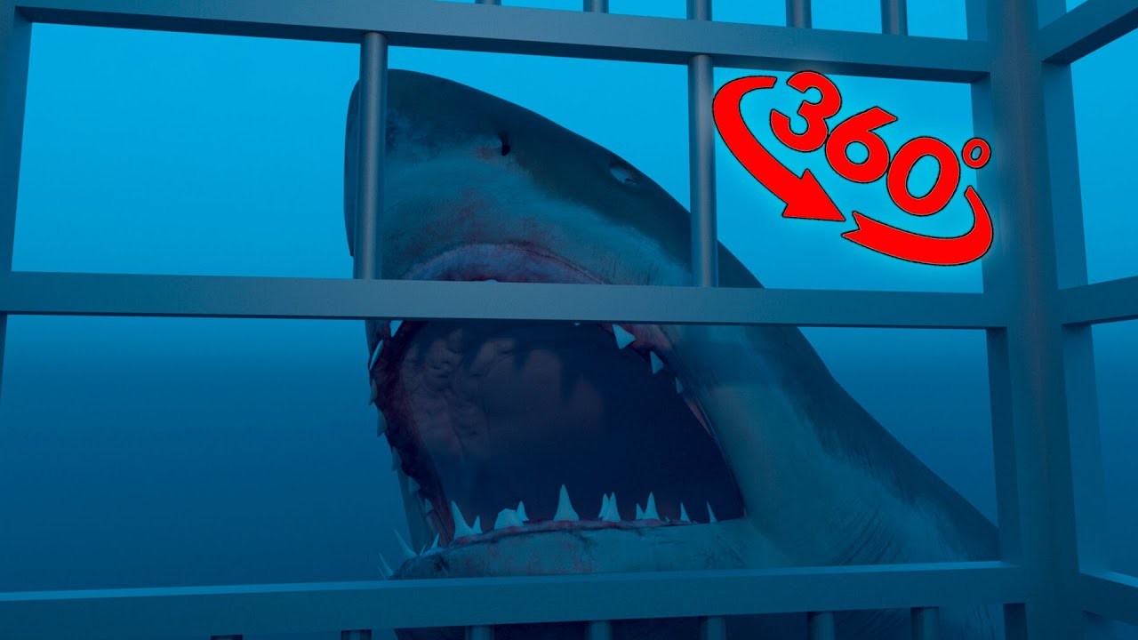 VR 360 Dive to SHARKS in a clear SEA! - YouTube