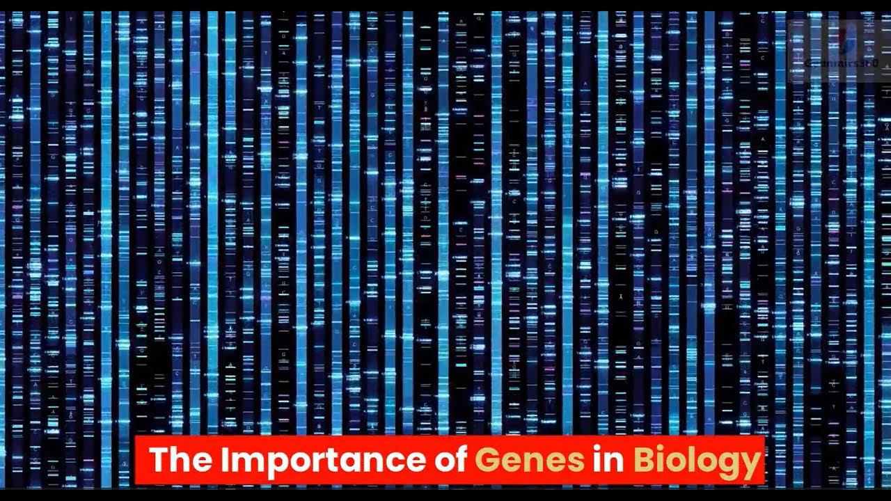 The Importance of Genes in Biology - YouTube