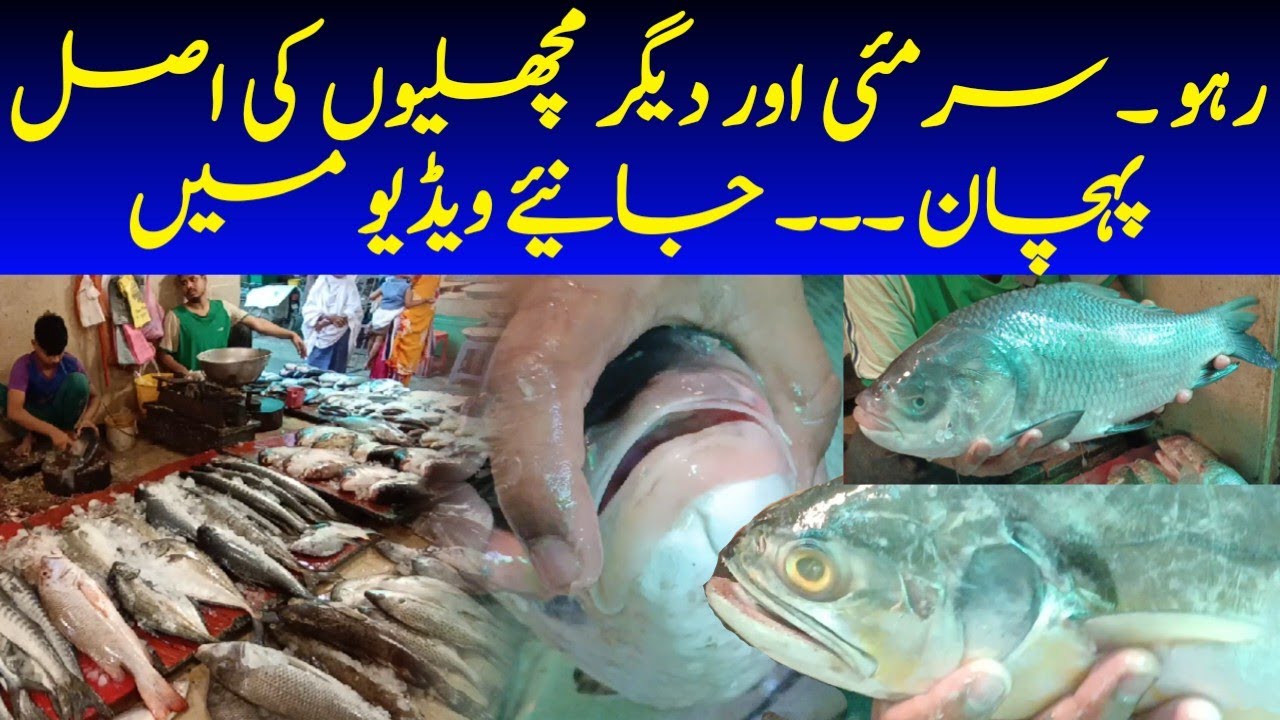 Fish market | Moosa Colonyموسى کالونى | اصل اور نقلی مچھلی کی پہچان ...