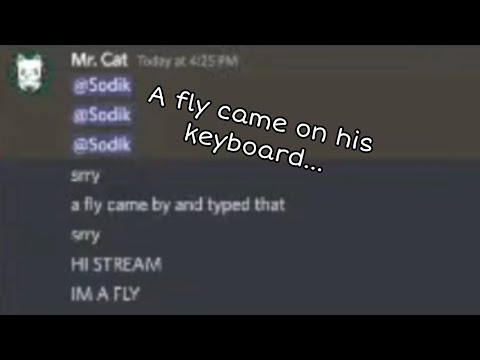 A fly came on his keyboard... - YouTube