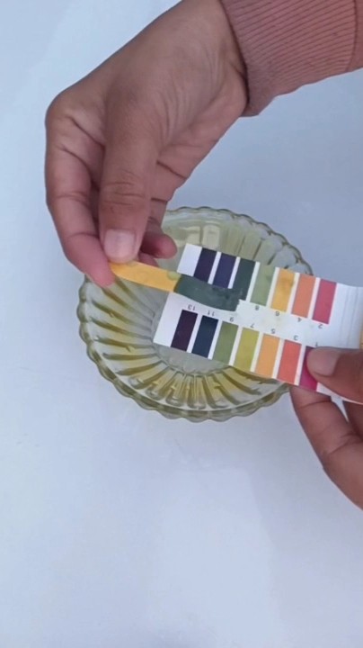 Borax powder ph test 👩‍🔬#chemistry #phtest #scienceandtechnology # ...
