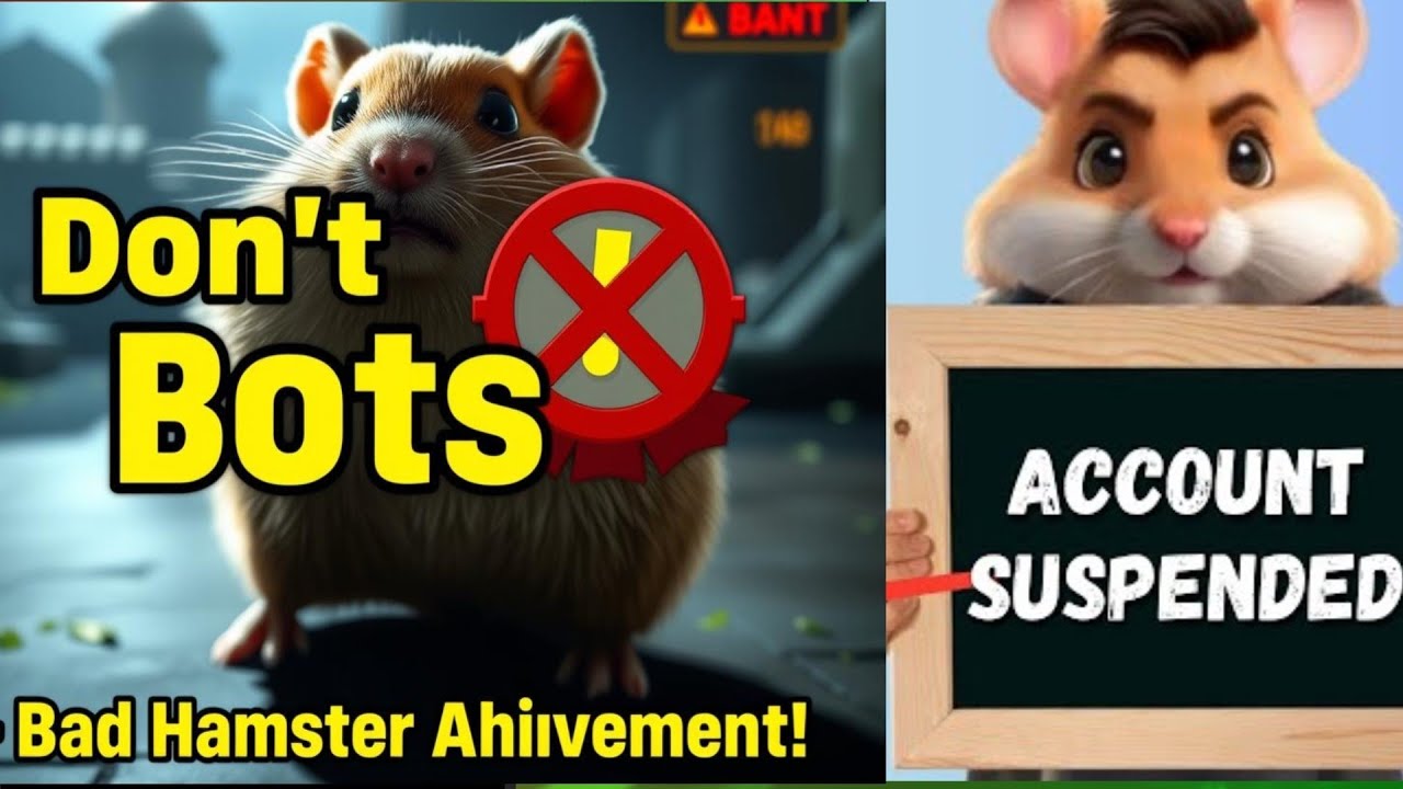 Bad Hamster Warning: Account Banned? - YouTube