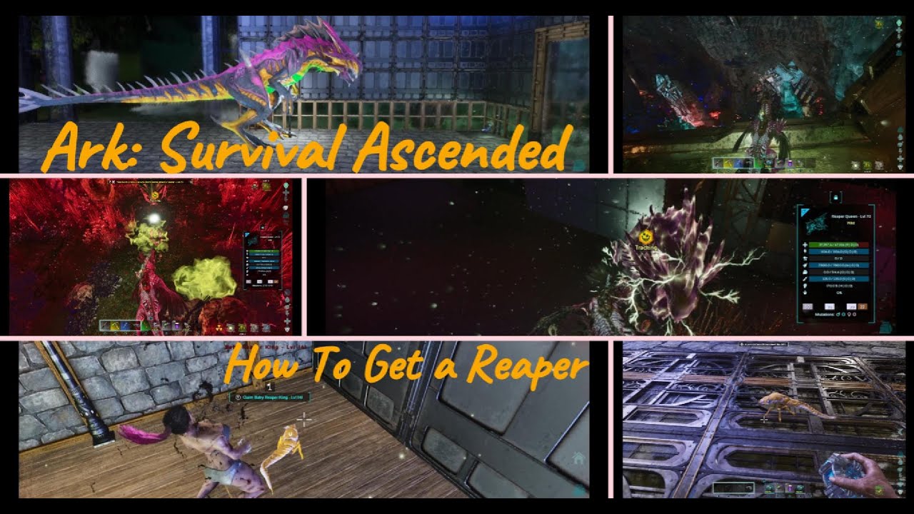 How To Tame A Reaper ~Ark Ascended~ - YouTube