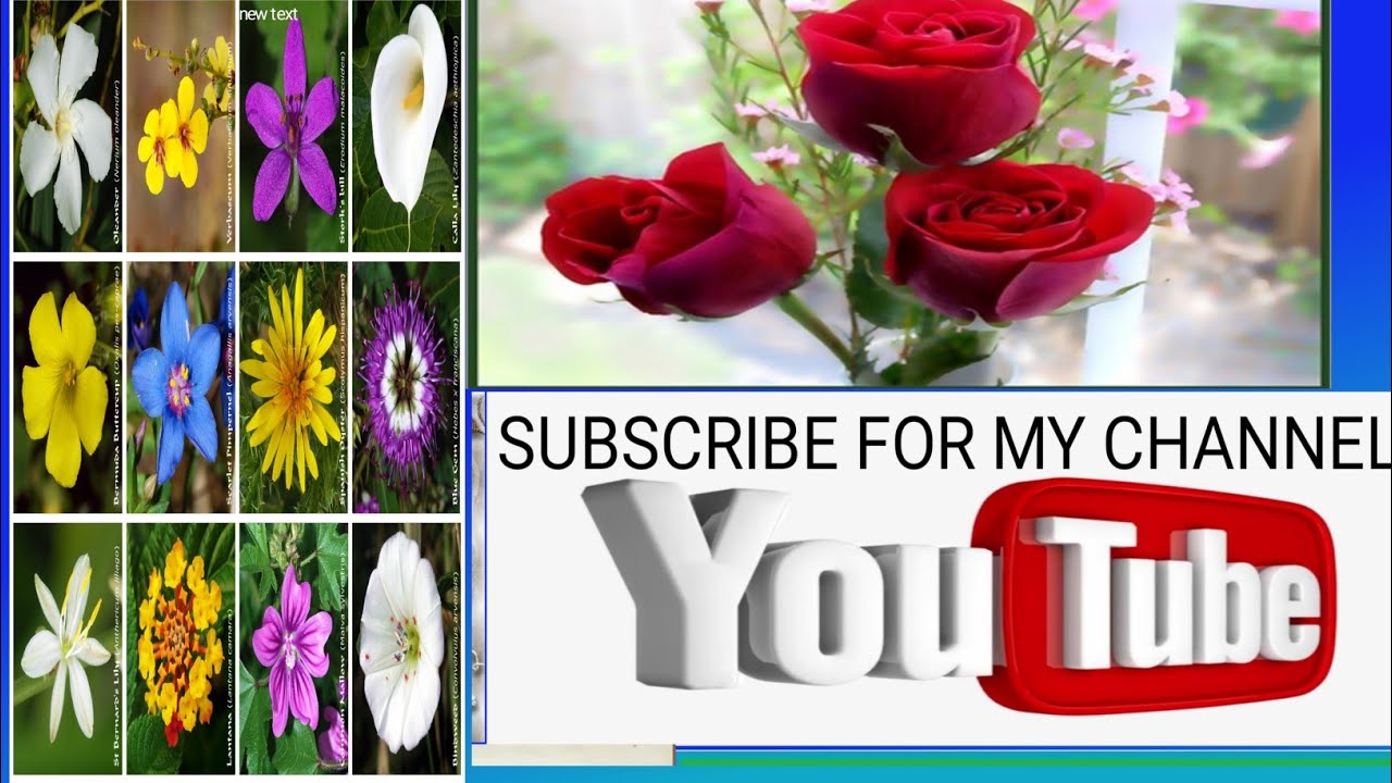 Knowledge is light. May Allah make us all knowledgeable and give us the grace to practice ...