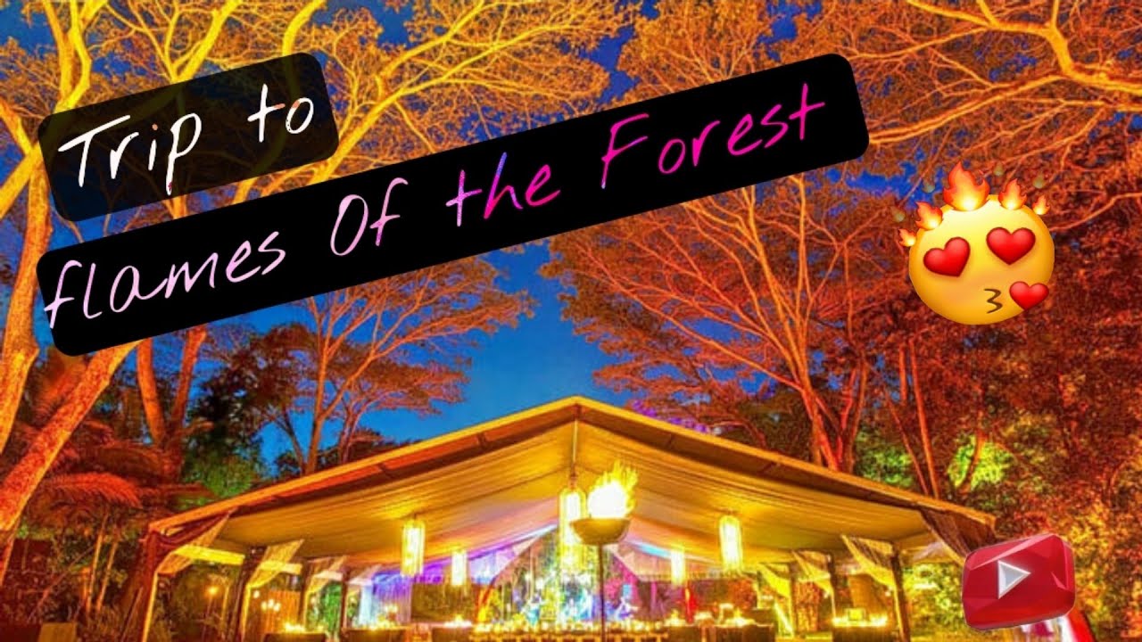 Flames of the forest Indore | Jungle resort | MP Tourism | #MPTourism # ...