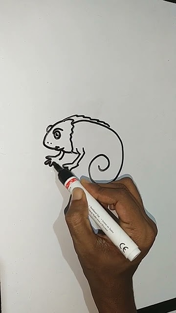 Easy How to Draw a Chameleon Drawing Tutorial Video | art projects for ...