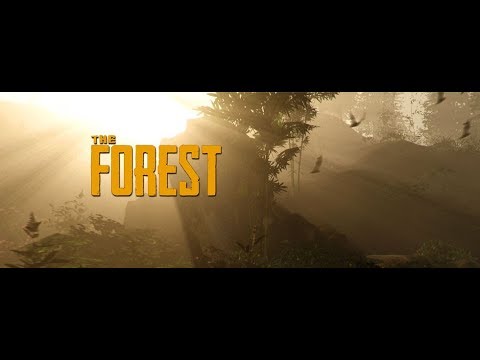 Timmy!!!! The Forest Episode 1 - YouTube