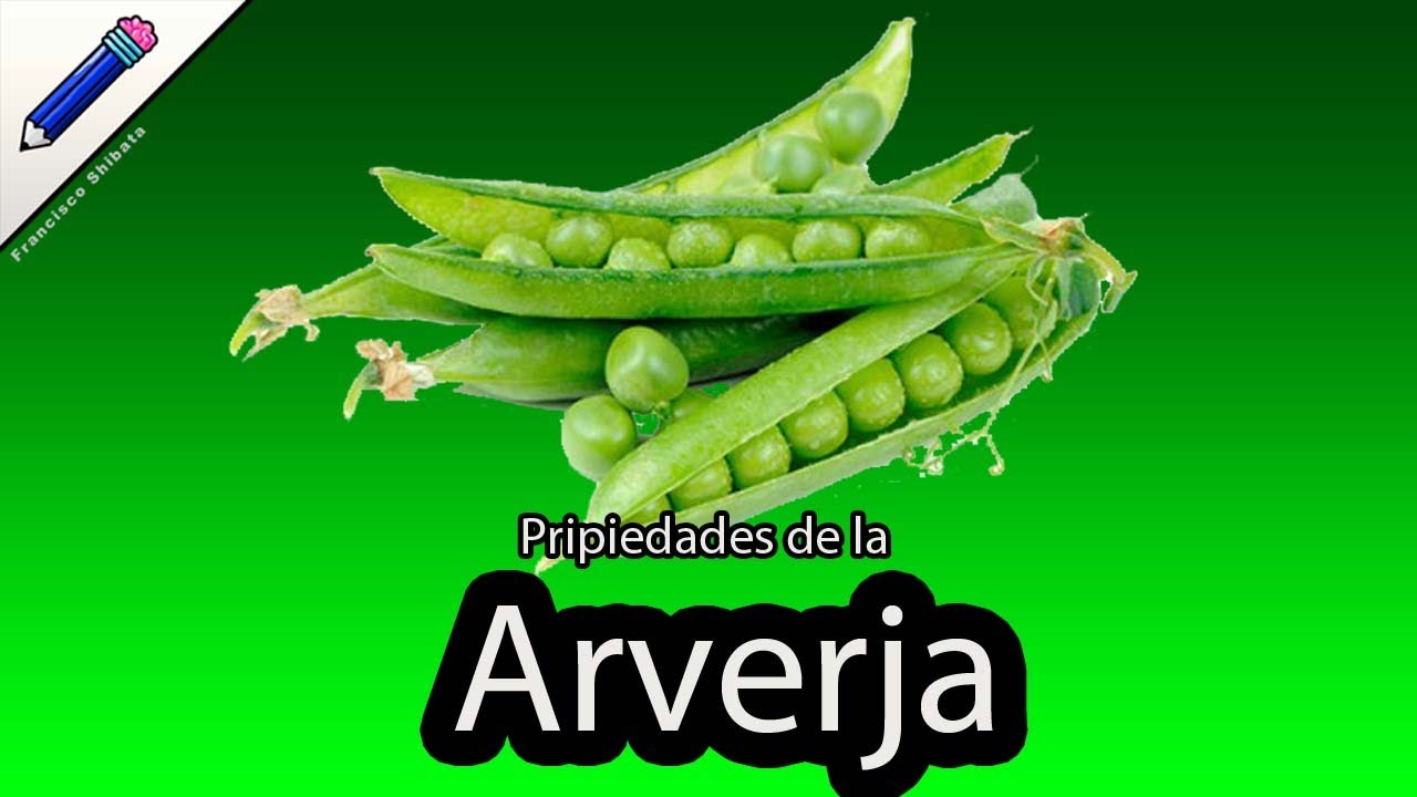propiedades de la arveja Alverja judías guisante chícharo - YouTube