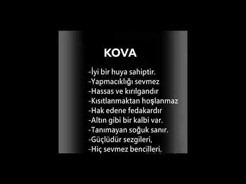 Kova burcu ♒️ özellikleri İstek video