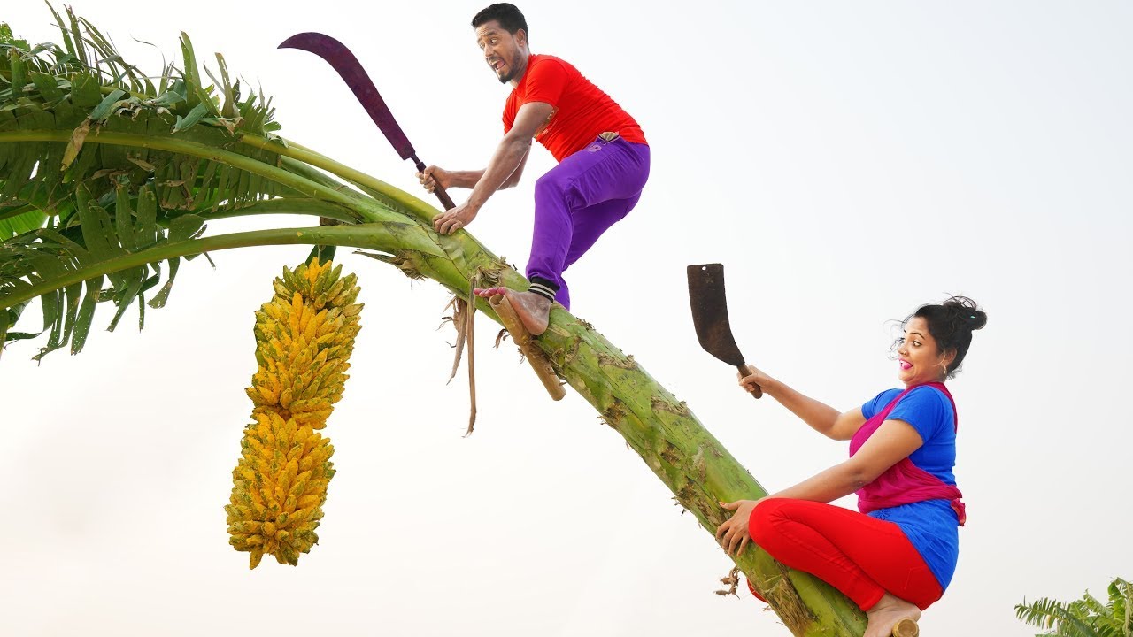 Kithul Tree Harvest Cutting Skill at Eat tree the mud Delicious ...