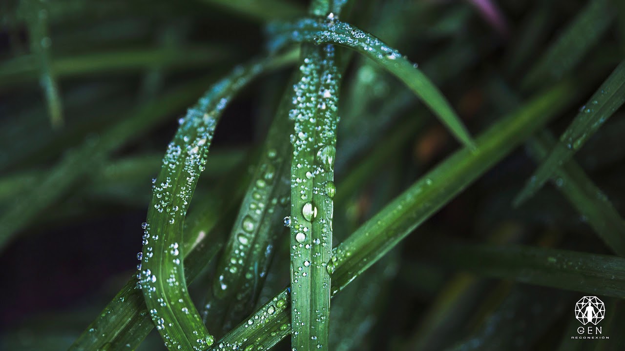 Meditación de Moisés -Moshé Rabino - Te hablo Serénate Soy Dios - YouTube