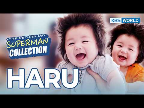 [TROS Collection] Halo Tante dan Paman, Namaku Haru! | KBS WORLD TV