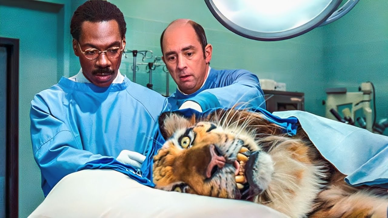 A Doctor Who Understands Animal Language, Saves Them From Extinction ...