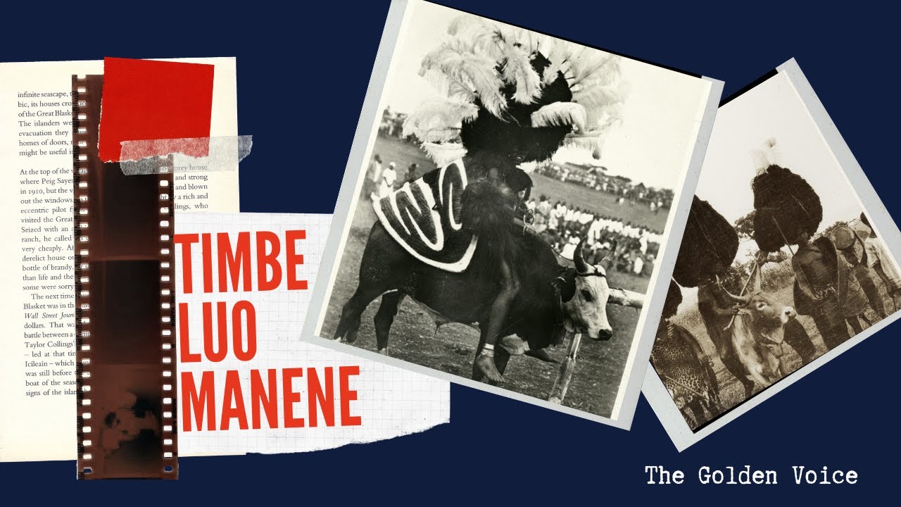 Timbe Luo Manene (Full Story ) - The Golden Voice - YouTube